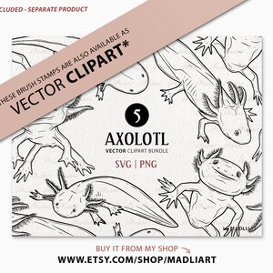 5 Procreate Axolotl Stamps. Axolotl Tattoo Design. Salamander Line Art ...