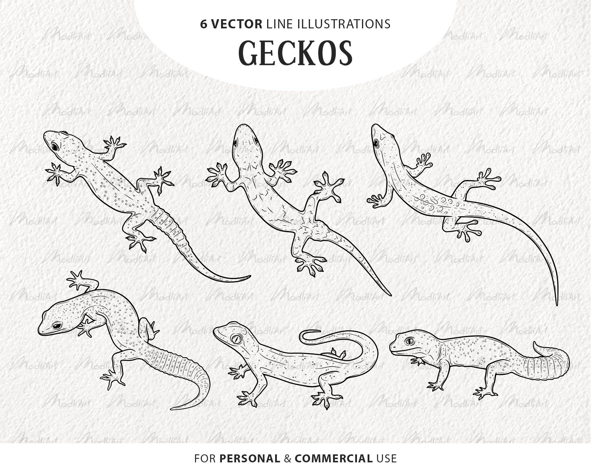 6 Geckos SVG Clipart Bundle. Lizard Vector Drawings. Leopard - Etsy