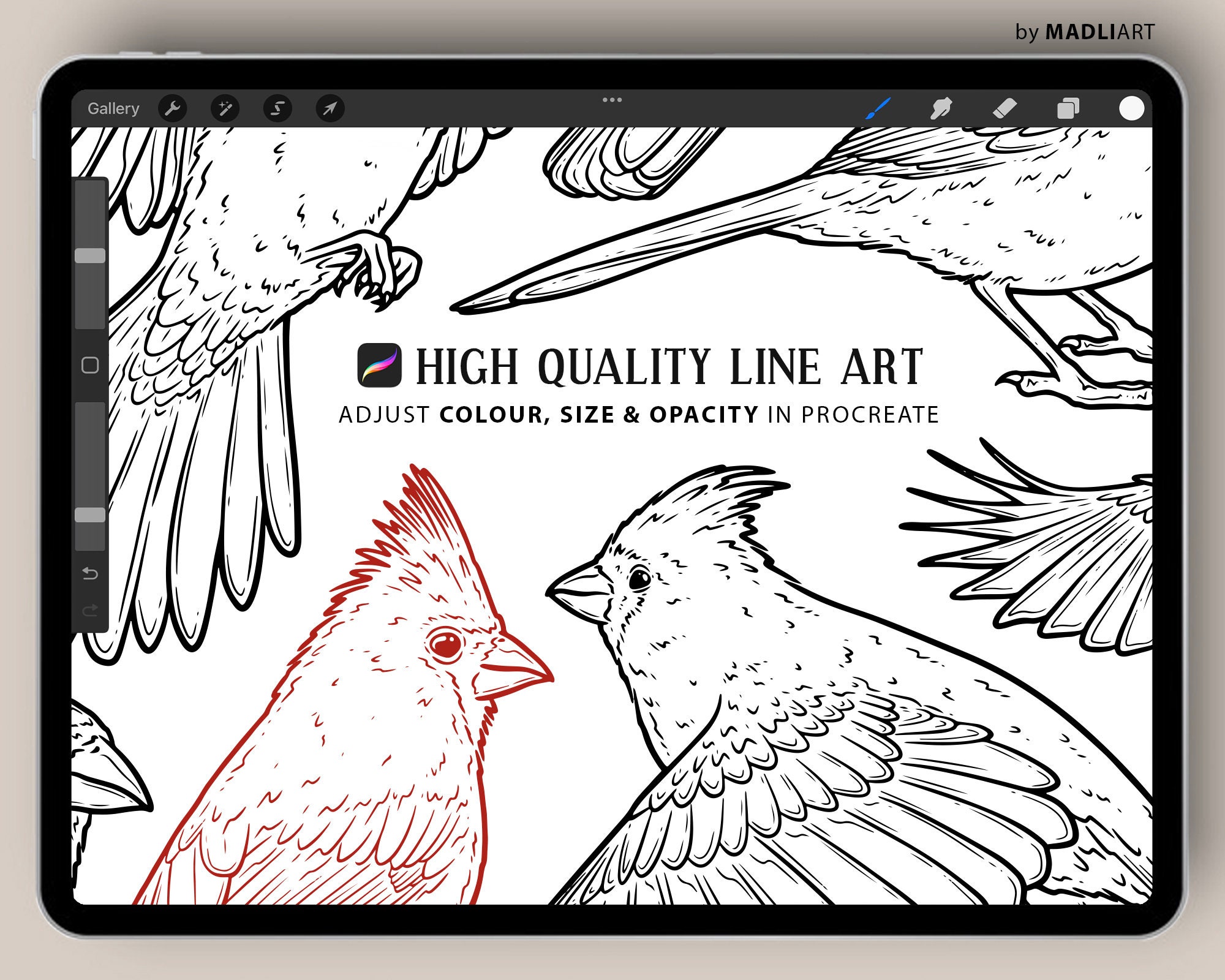 8 Procreate Cardinal Stamps. Small Bird Tattoo Design. Winter - Etsy