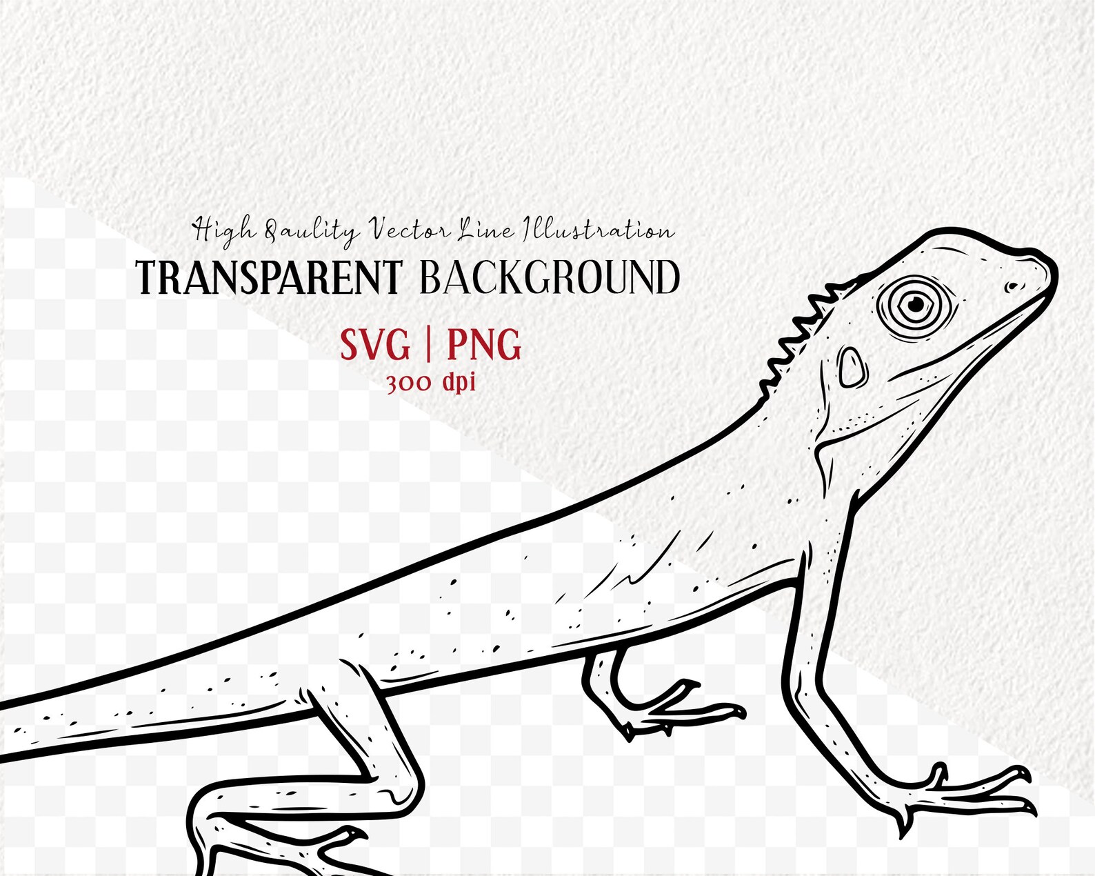 Green Crested Lizard SVG Clipart. Snake Lizard Vector Drawing. Tropical ...