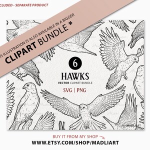 Coopers Hawk SVG Clipart Bundle. Eagle Vector Line Drawings. Bird of ...