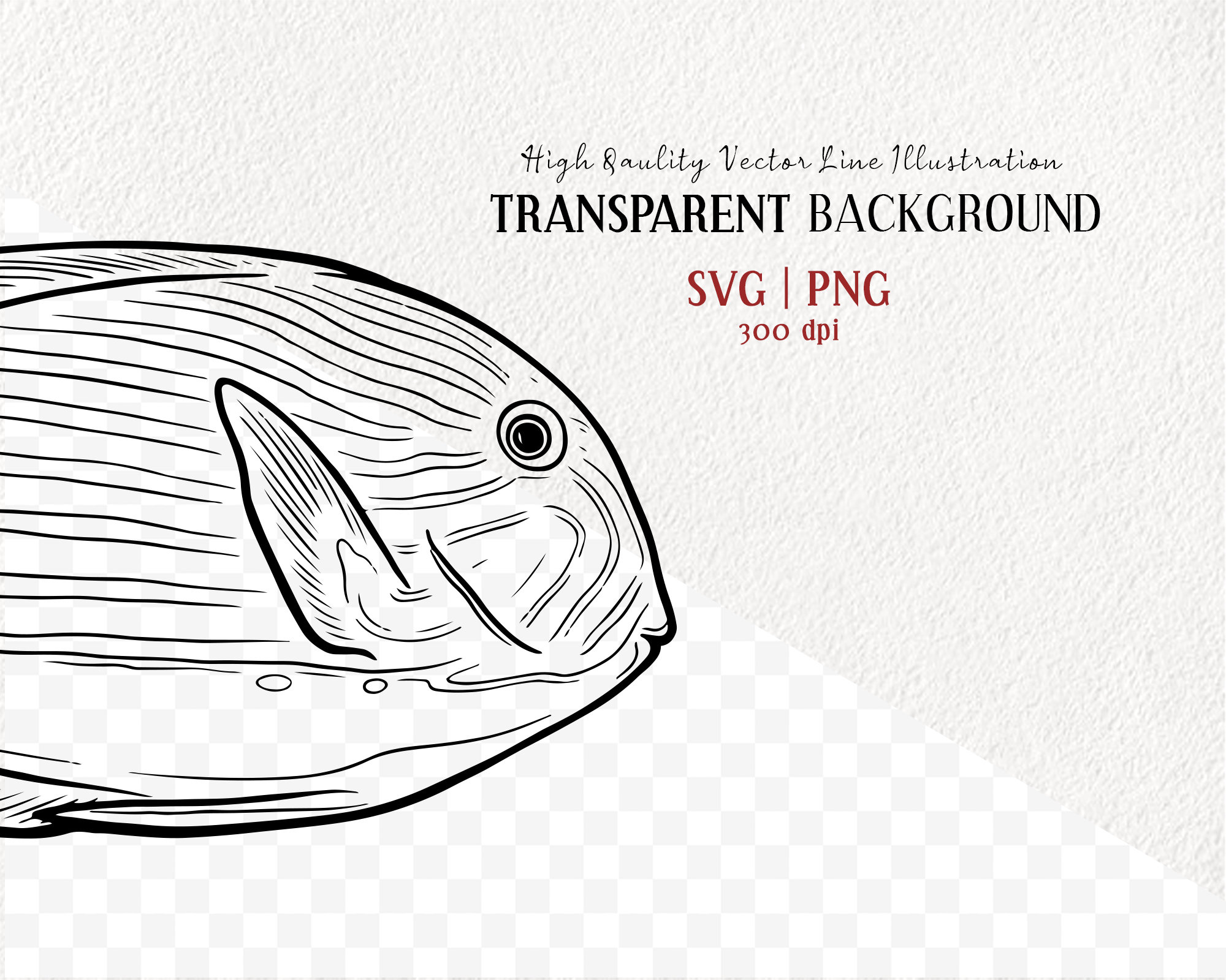 Blue Banded Surgeonfish Vector Clipart. Coral Reef Fish SVG Drawing ...