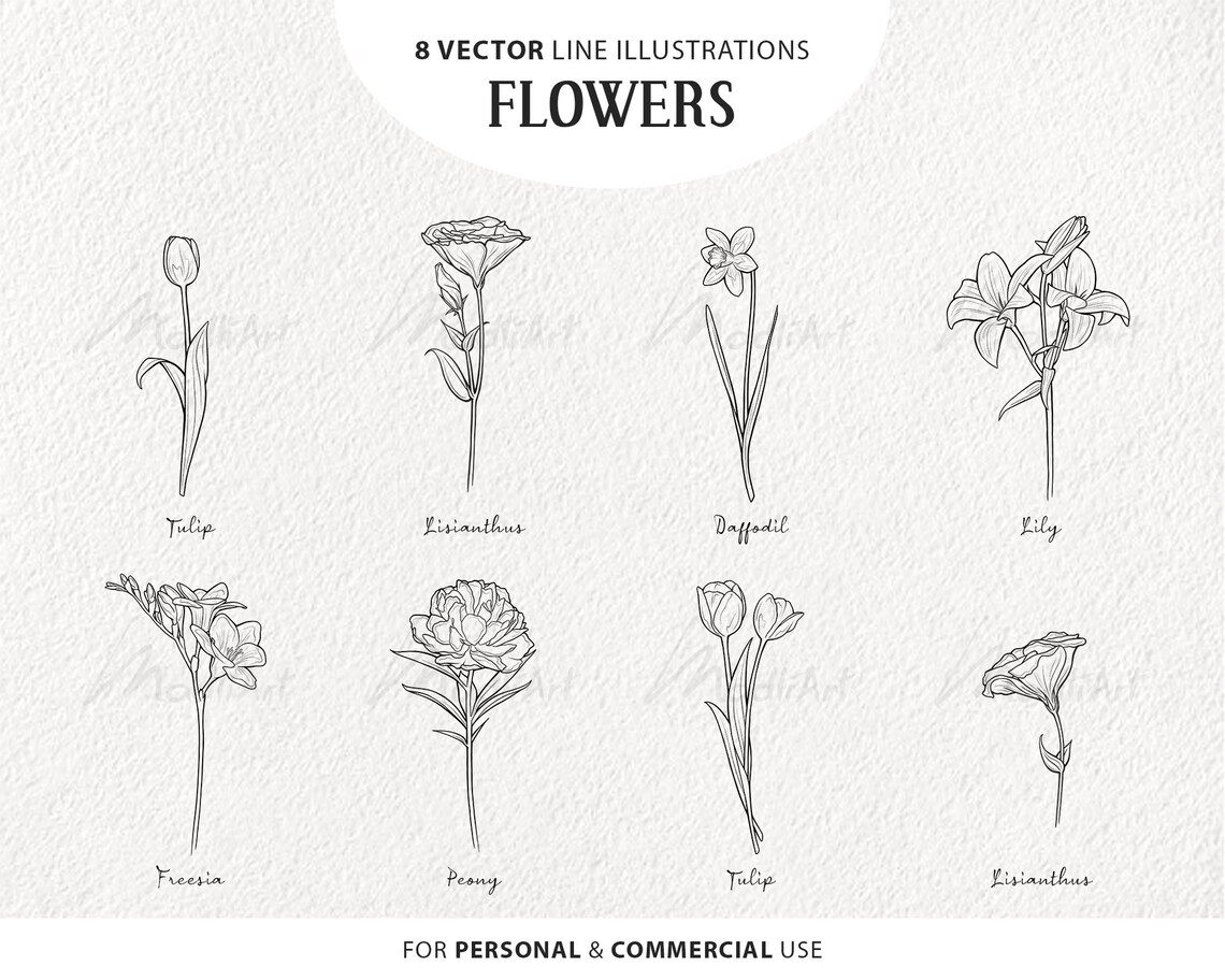 Spring Flower SVG Clipart Bundle. 8 Vector Botanical Line - Etsy UK