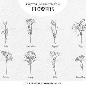 Spring Flower SVG Clipart Bundle. 8 Vector Botanical Line - Etsy UK