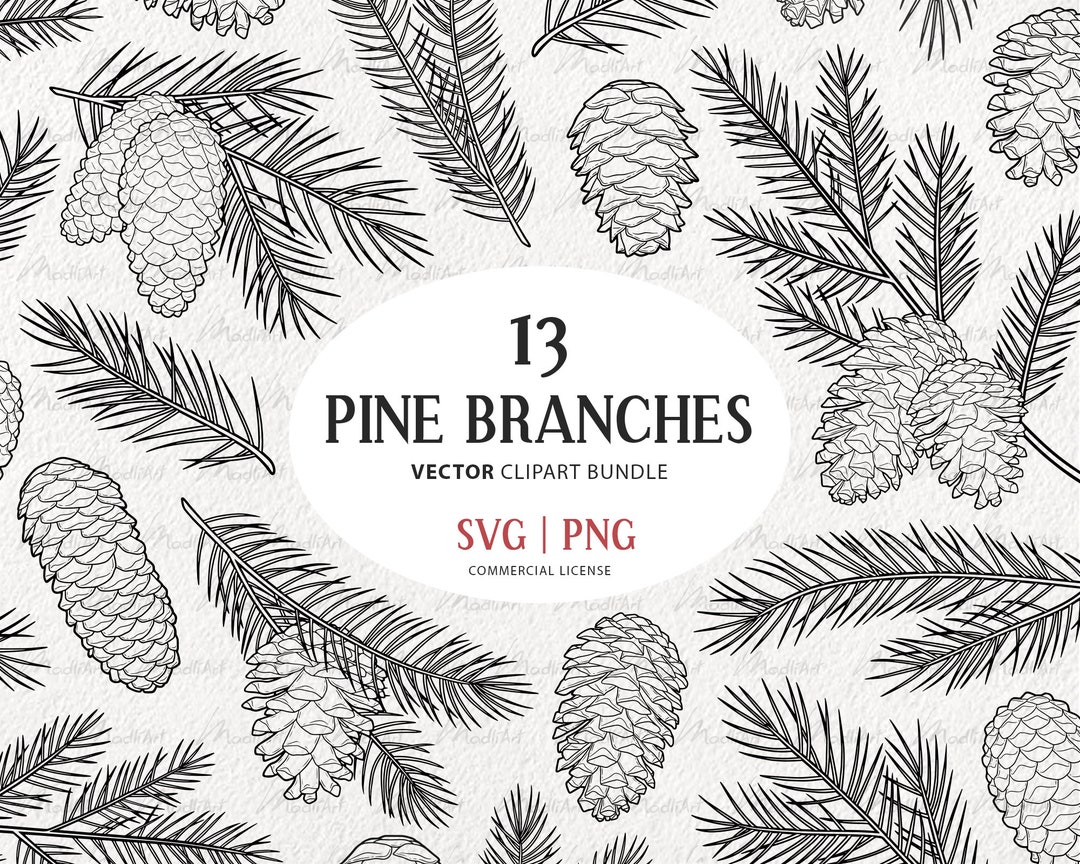 Pine Vector Clipart Bundle. Pine Cone SVG Art. Evergreen Tree - Etsy