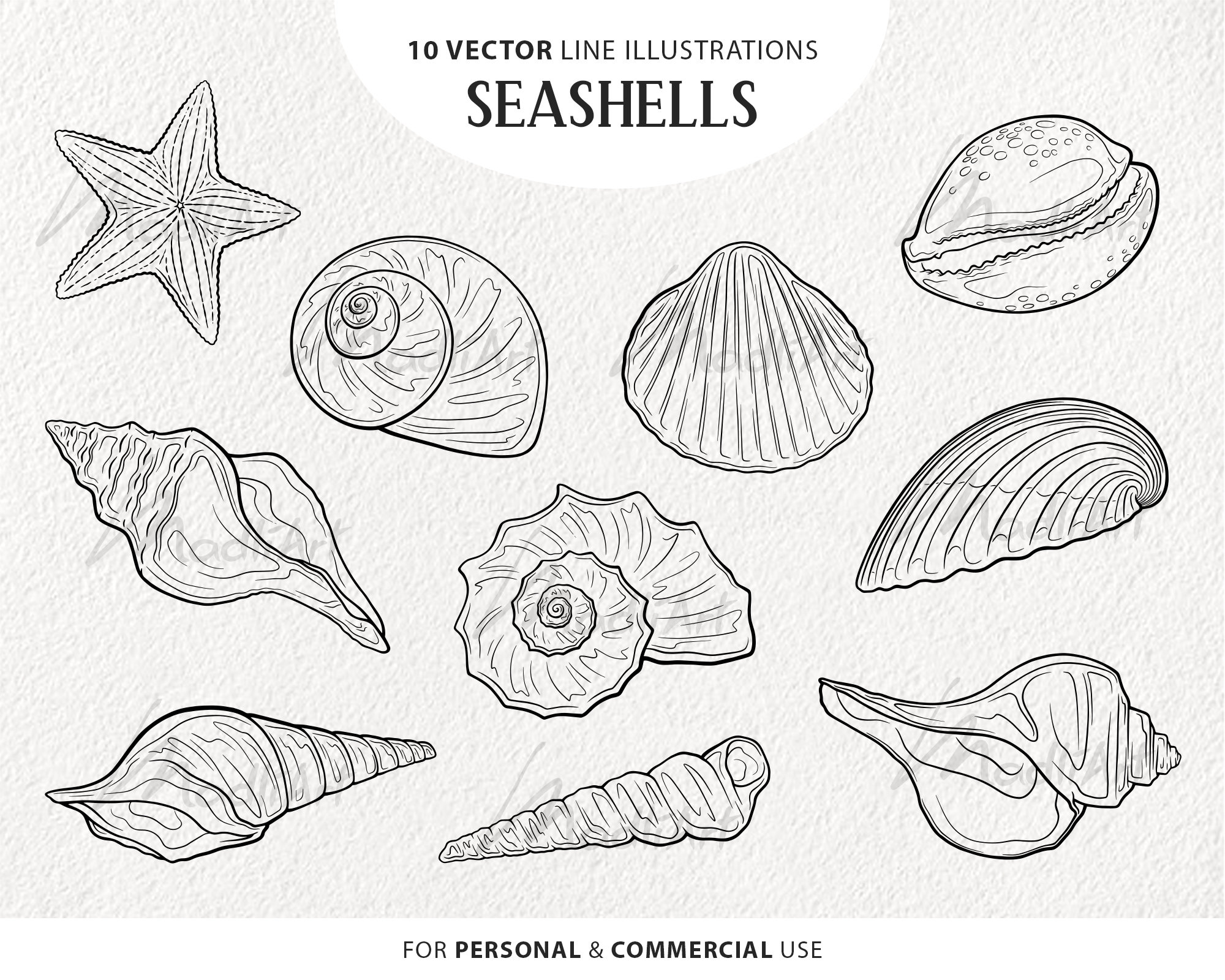 Seashell SVG Clipart Bundle. 10 Ocean Themed Vector Line - Etsy