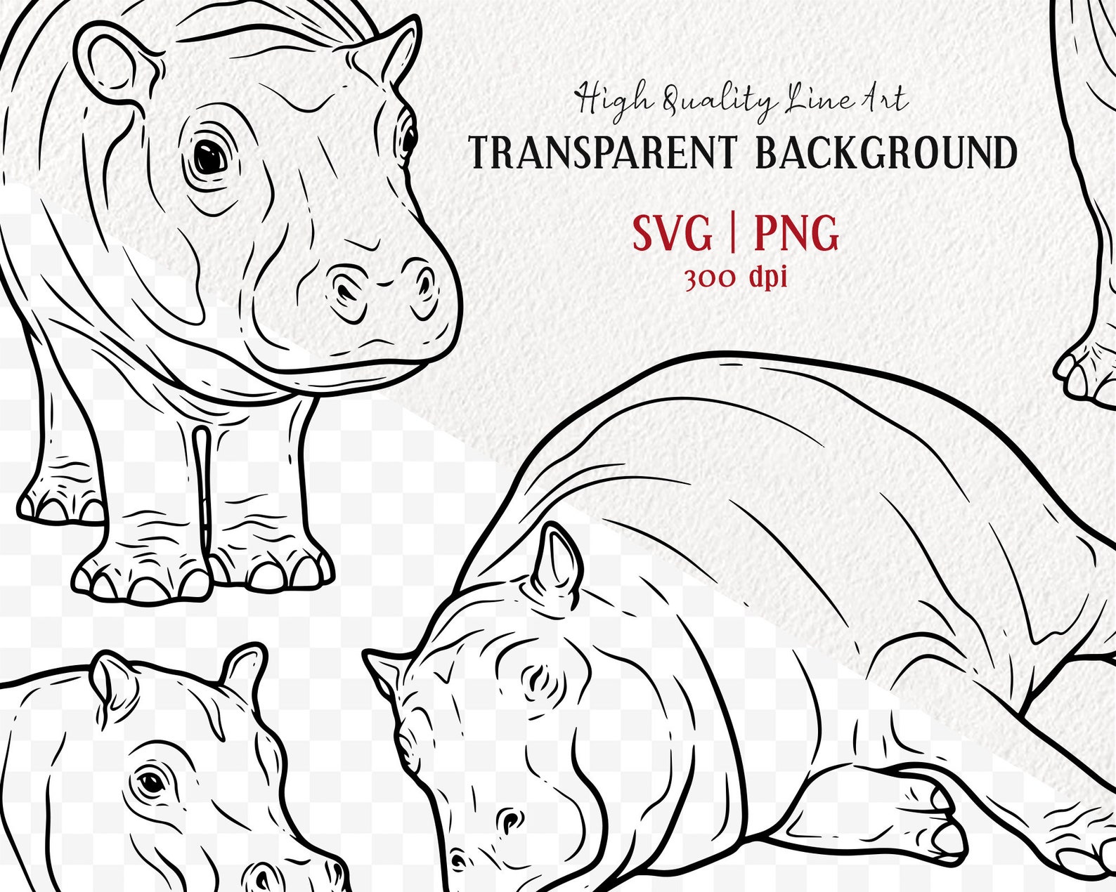 6 Hippos SVG Clipart Bundle. Hippopotamus Vector Drawings. Baby Hippo ...