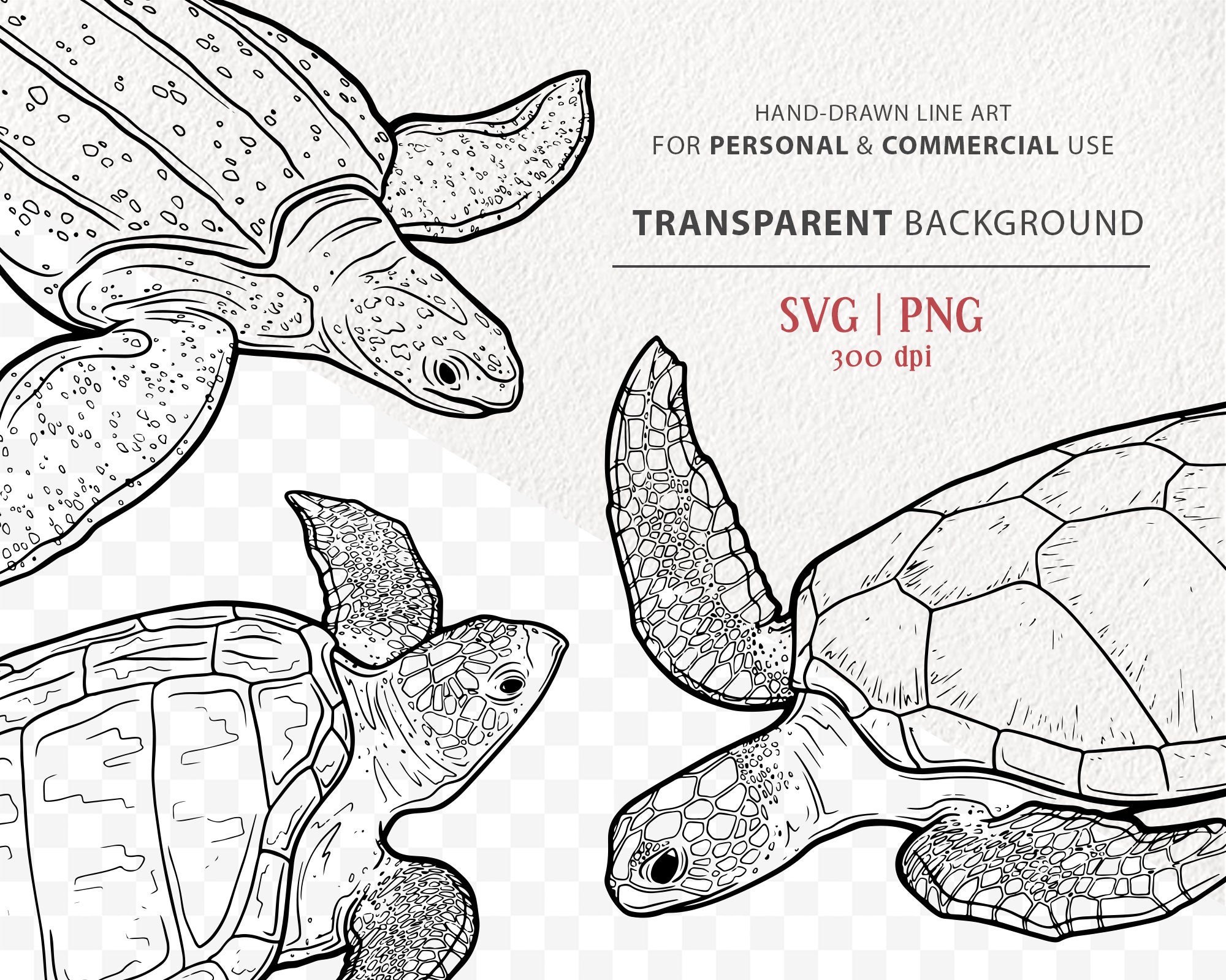 Sea Turtles SVG Clipart Bundle. Ocean Animal Vector Artwork - Etsy UK