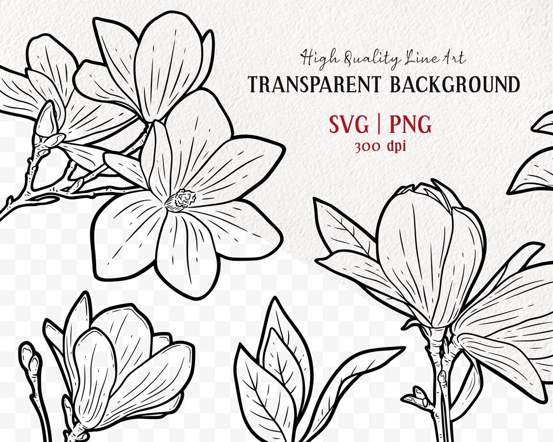 12 Magnolia Flower SVG Bundle. Magnolia Blossom Clipart Set. - Etsy