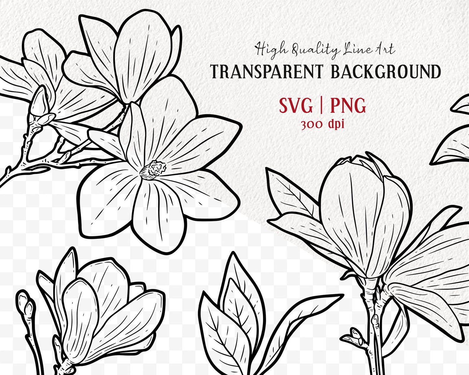 12 Magnolia Flower SVG Bundle. Magnolia Blossom Clipart Set. - Etsy