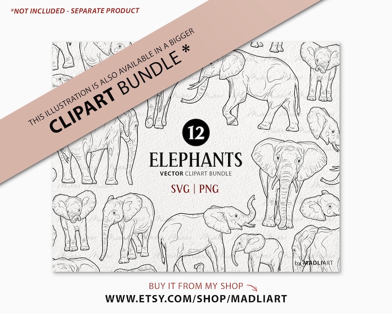 Baby Elephant SVG Clipart. Elephant Vector Drawing. Safari Animal SVG ...