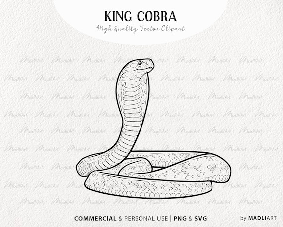 King Cobra Drawing Tattoo