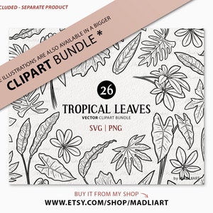 3 Tropical Alocasia Frydek Leaves Clipart Set. Jungle Plant Vector Art ...