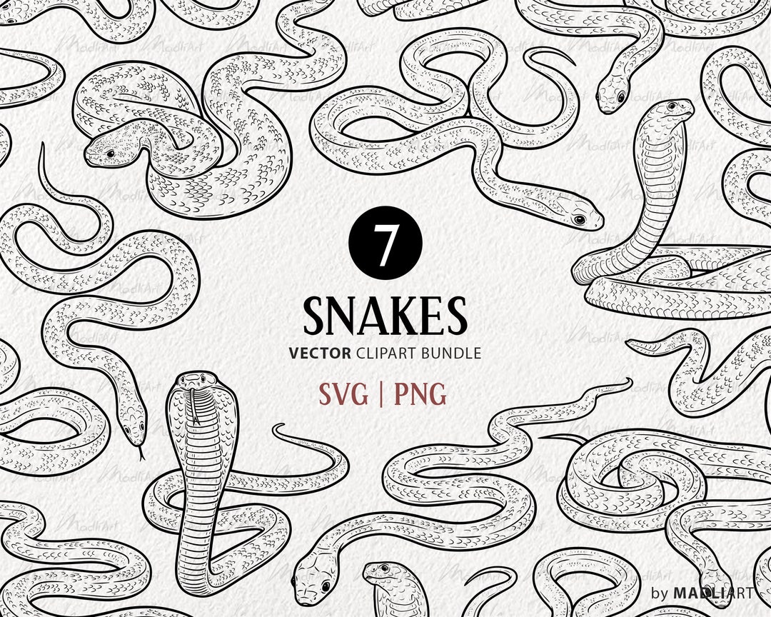 7 Snakes SVG Clipart Bundle. Cobra Vector Drawings. Rattlesnake Tattoo ...