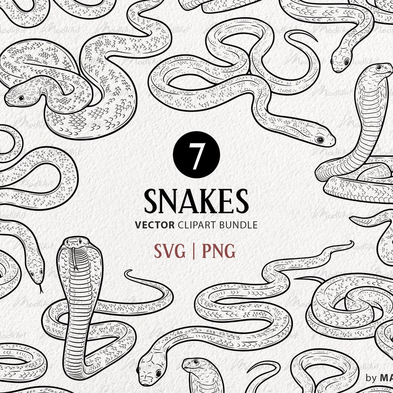 Snake Graphics - Etsy