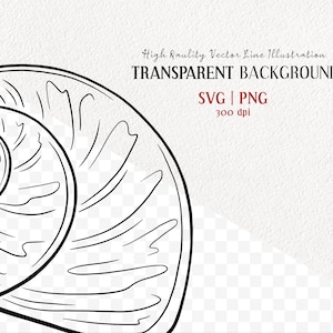 Seashell SVG Clipart. Ocean Themed Vector Line Drawing. Nautical Ocean ...