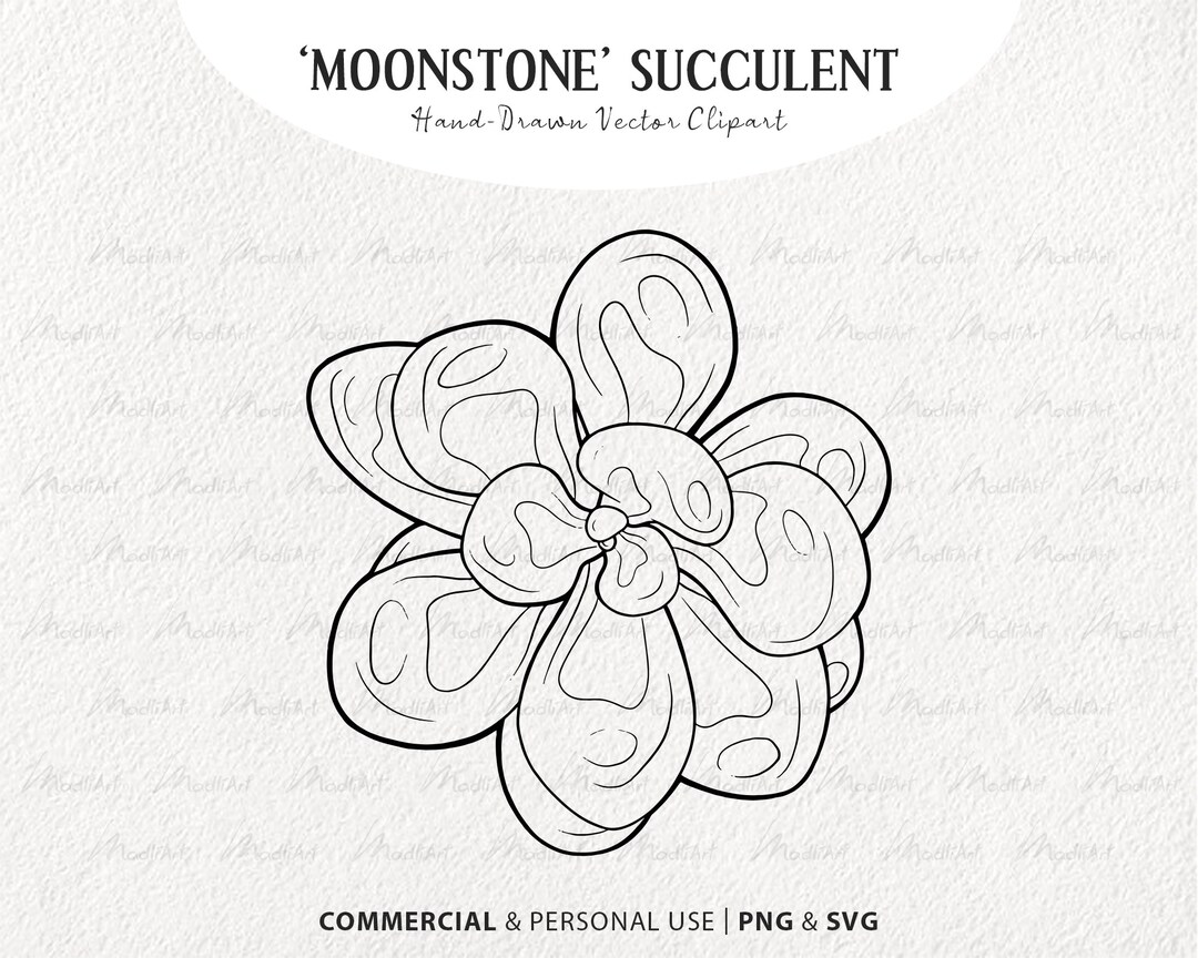 Moonstone Succulent SVG Clipart. Desert Plant Vector Artwork ...