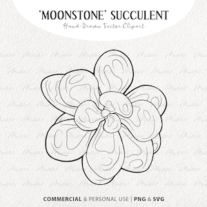 Moonstone Succulent SVG Clipart. Desert Plant Vector Artwork ...