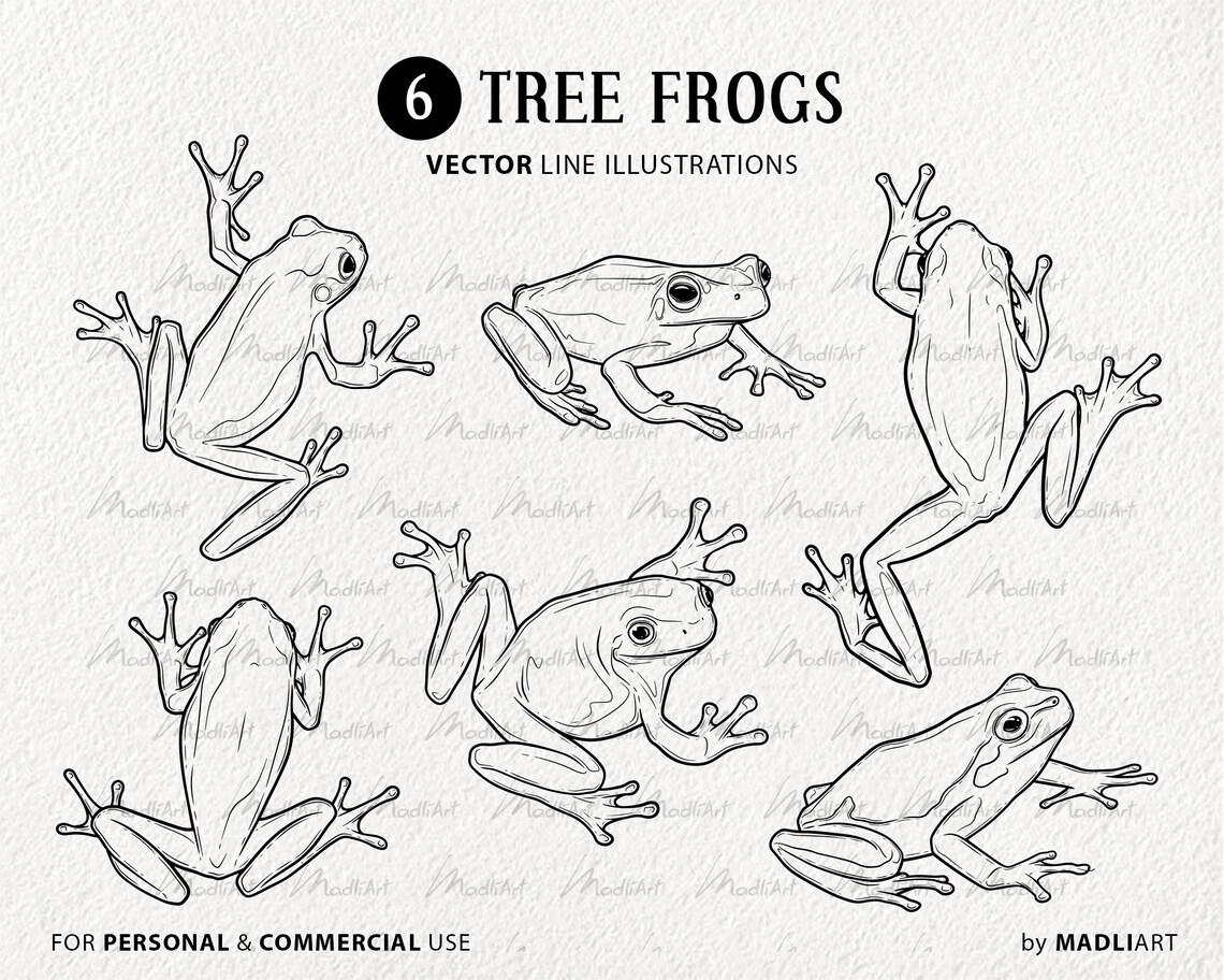 6 Tree Frogs SVG Clipart Bundle. Frog Vector Drawings. Green, White and ...