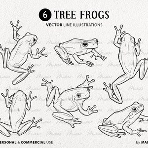 6 Tree Frogs SVG Clipart Bundle. Frog Vector Drawings. Green, White and ...