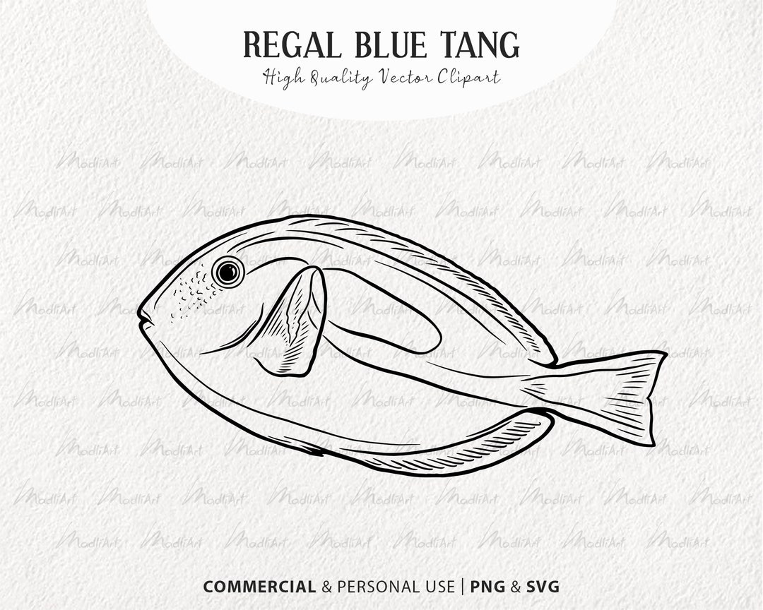 Regal Blue Tang Vector Clipart. Coral Reef Fish SVG Drawing. Ocean Fish ...