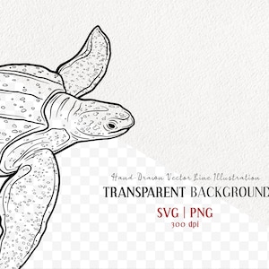 Leatherback Sea Turtle Vector Clip Art. Sea Animal Artwork ...