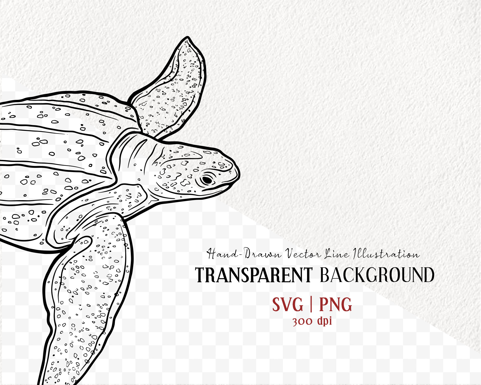 Leatherback Sea Turtle Vector Clip Art. Sea Animal Artwork ...