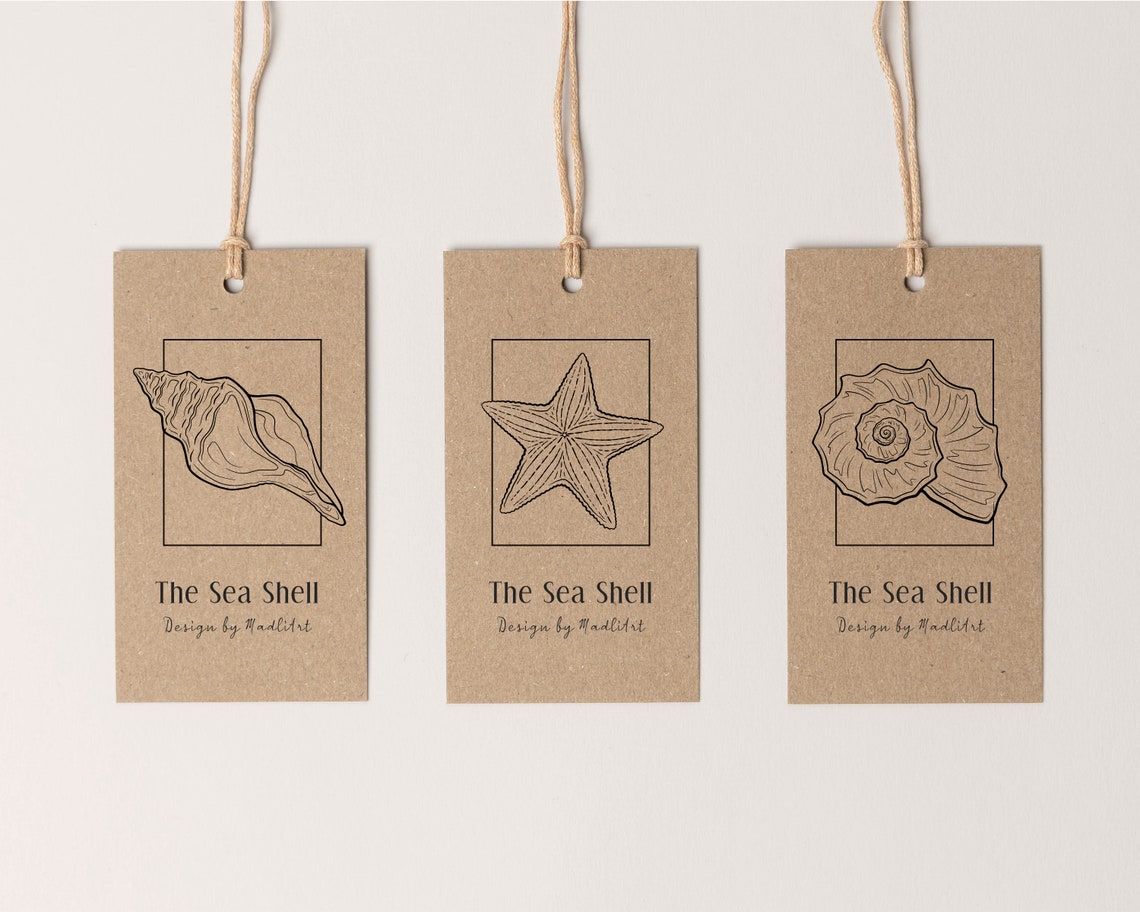 Seashell SVG Clipart Bundle. 10 Ocean Themed Vector Line - Etsy