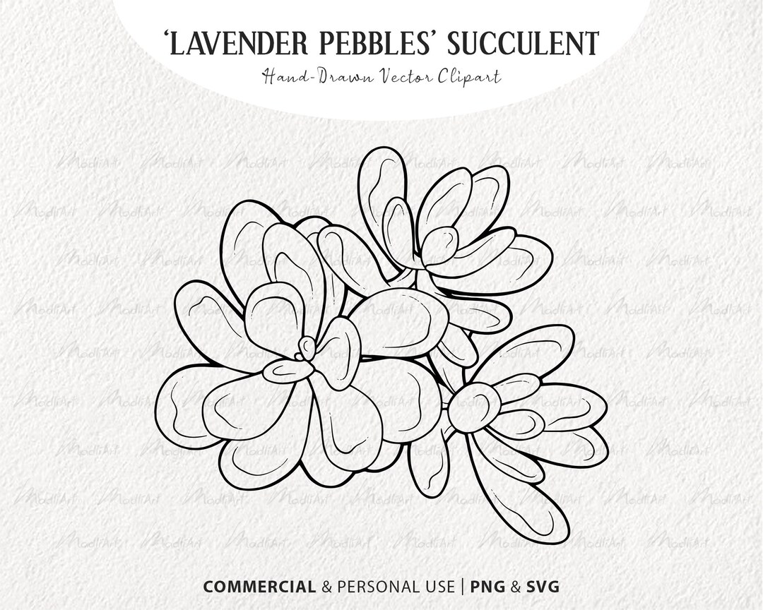 Lavender Pebbles Succulent SVG Clipart. Desert Plant Vector Artwork ...