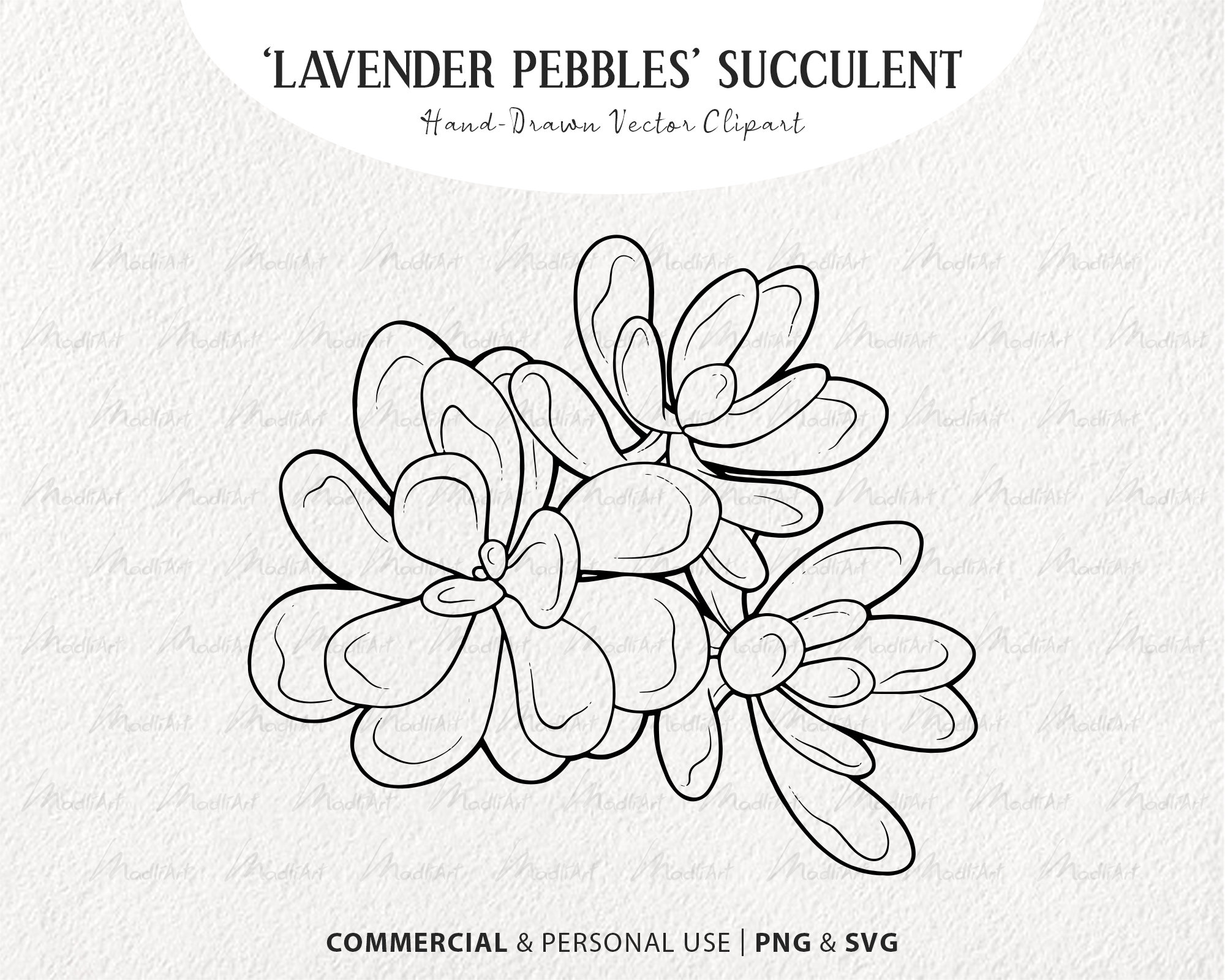 Lavender Pebbles Succulent SVG Clipart. Desert Plant Vector Artwork ...