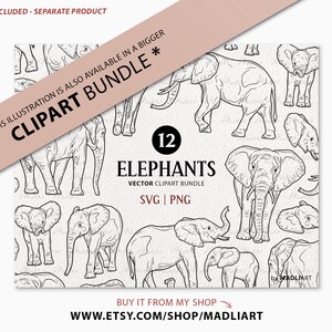 African Elephant Vector Clipart. Safari Animal SVG Outline. Elephant ...
