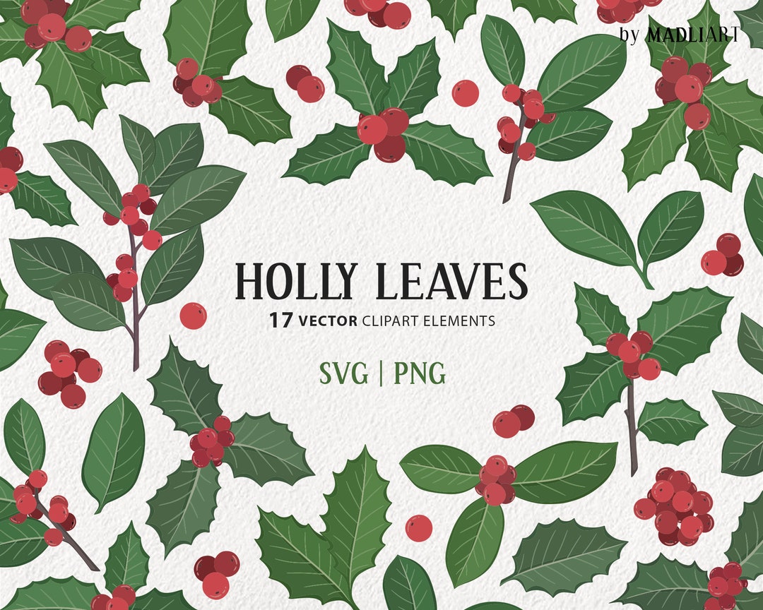 Christmas Holly Vector Clipart Bundle. Mistletoe SVG Leaves. Xmas Line ...