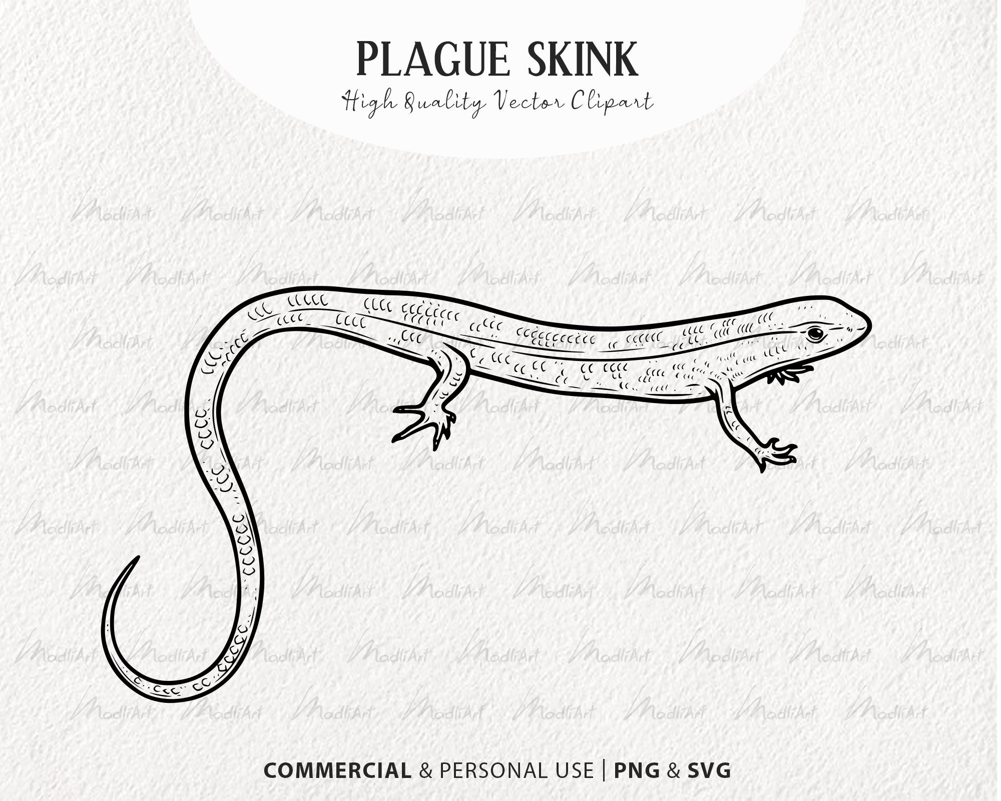 Plague Skink SVG Clipart. Snake Like Lizard Vector Drawing. Blue Tongue ...
