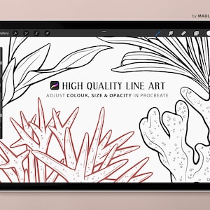 5 Procreate Coral & Seaweed Stamps. Ocean Themed Tattoo Design. Beach ...