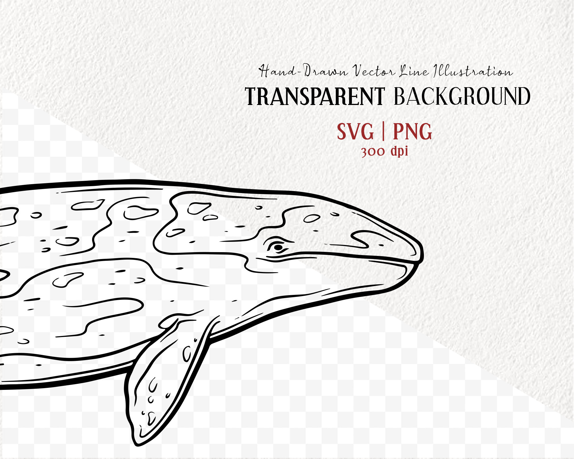 Gray Whale Vector Clipart. Ocean Wildlife Line Illustration. - Etsy