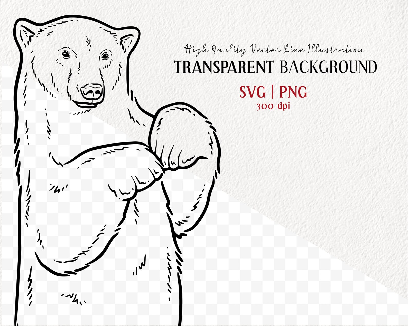 Polar Bear SVG Clipart. Standing Winter Bear Vector Outline. Ice Bear ...