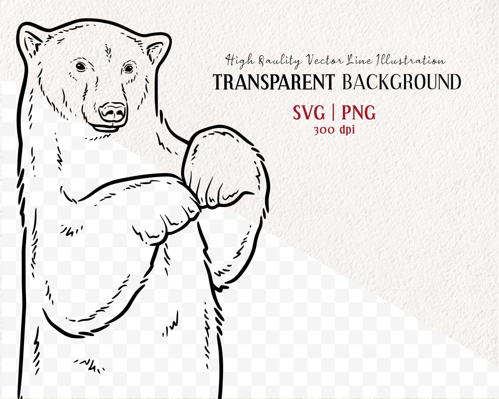 Polar Bear SVG Clipart. Standing Winter Bear Vector Outline. Ice Bear ...