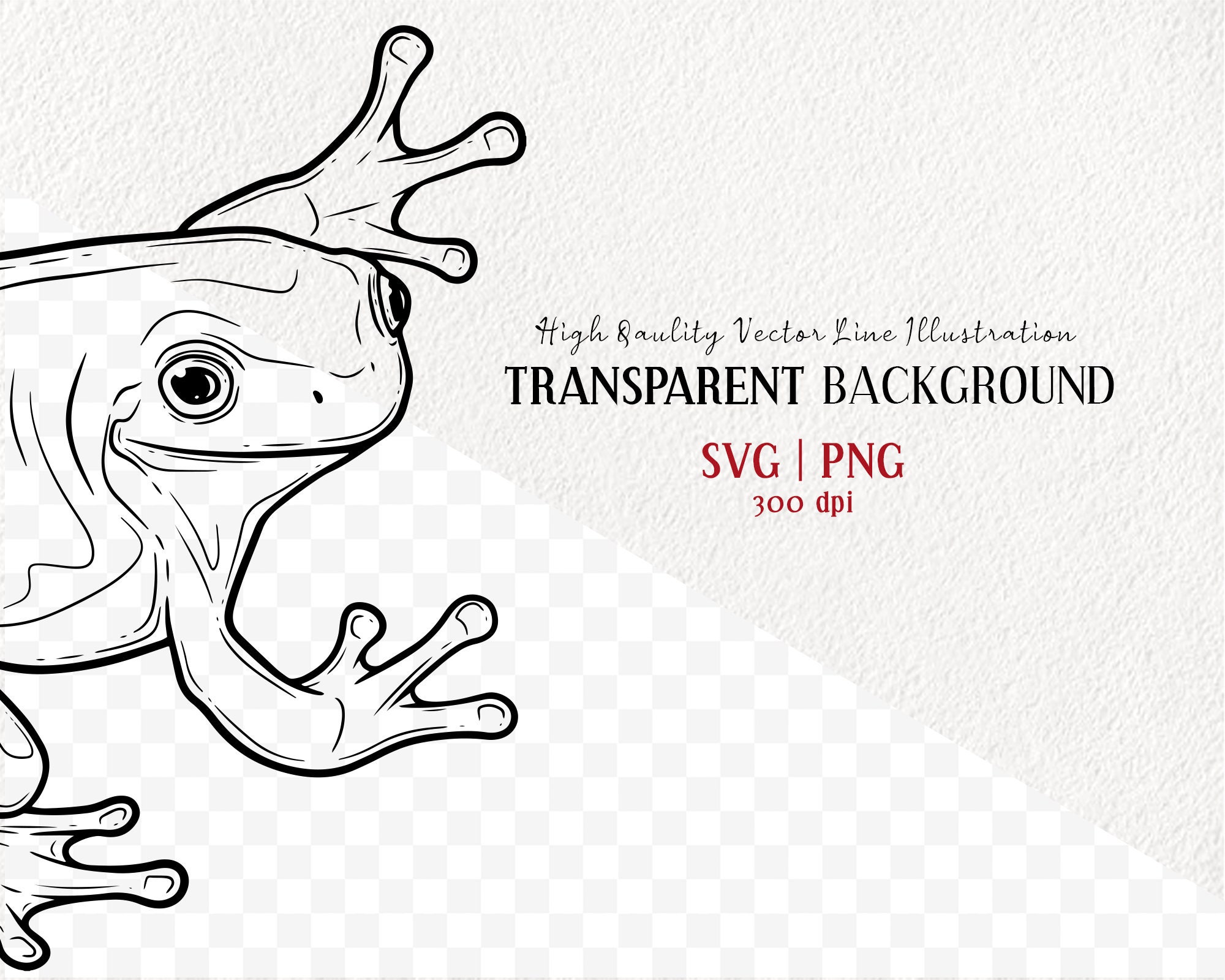 Tree Frog SVG Clipart. Frog Vector Drawing. Green, White and Red-eyed ...