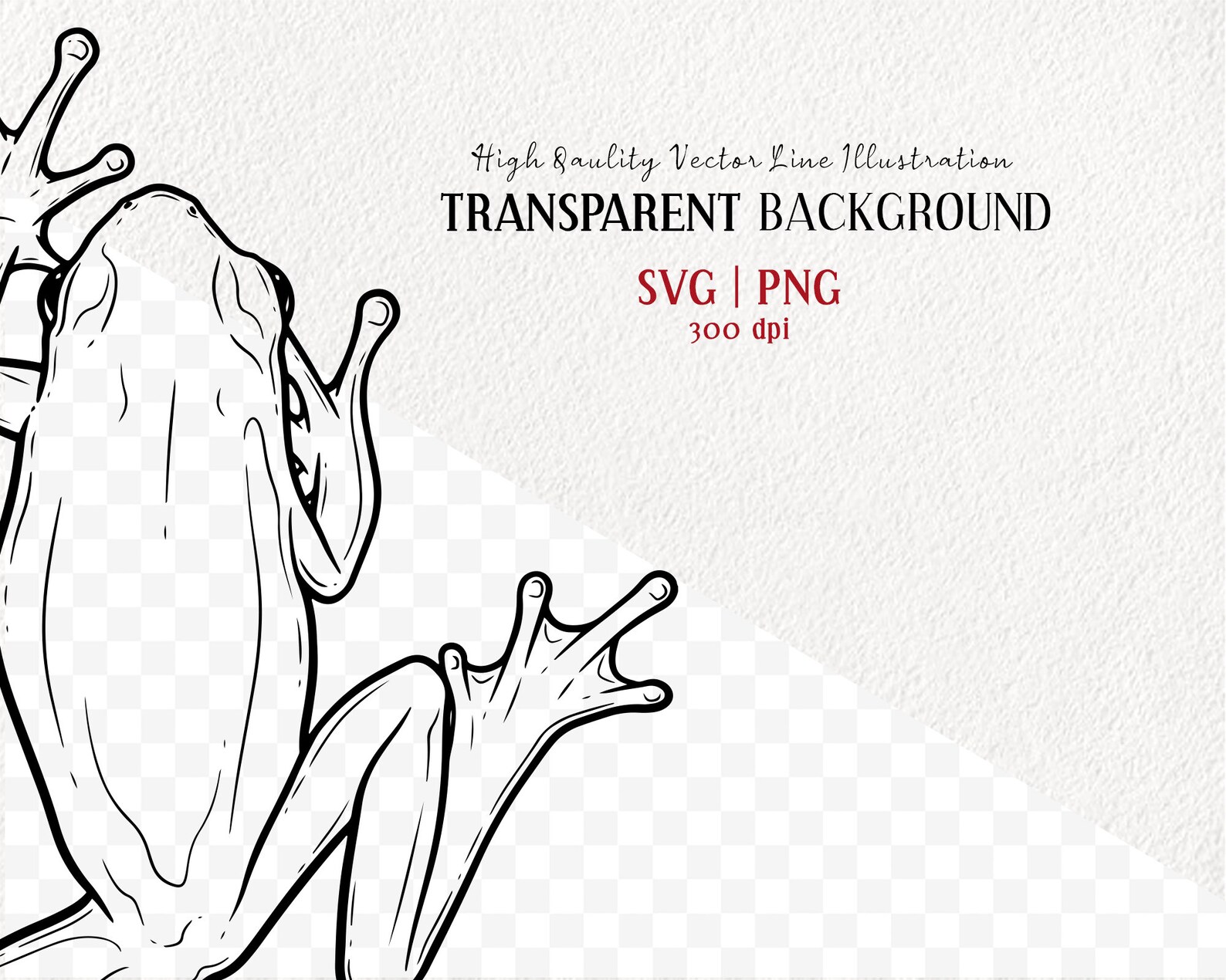Tree Frog SVG Clipart. Frog Vector Drawing. Green, White and Red-eyed ...