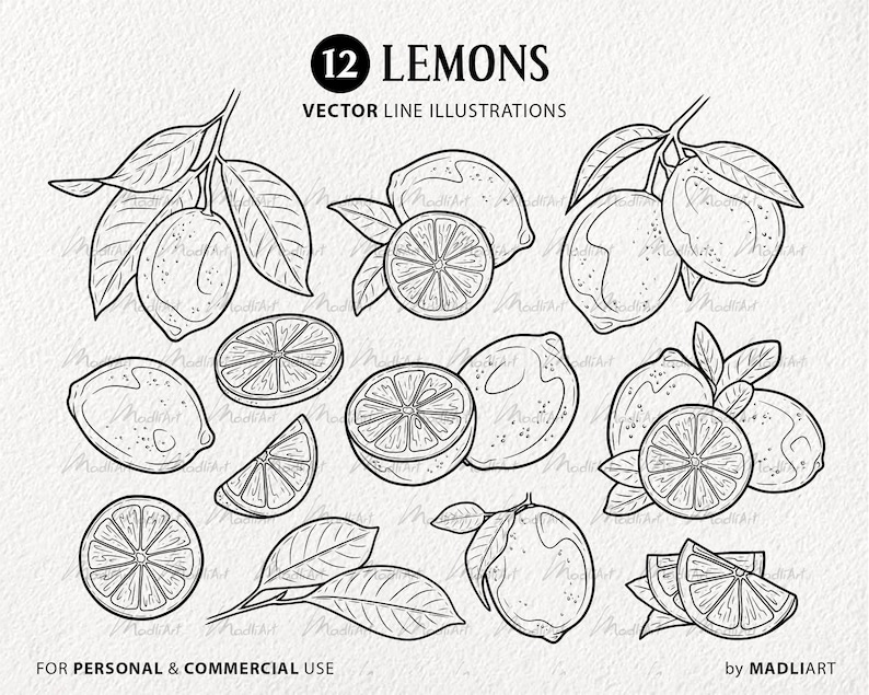 Lemon SVG Clipart Bundle. 12 Vector Lemons. Lemon Tree Fruits. - Etsy