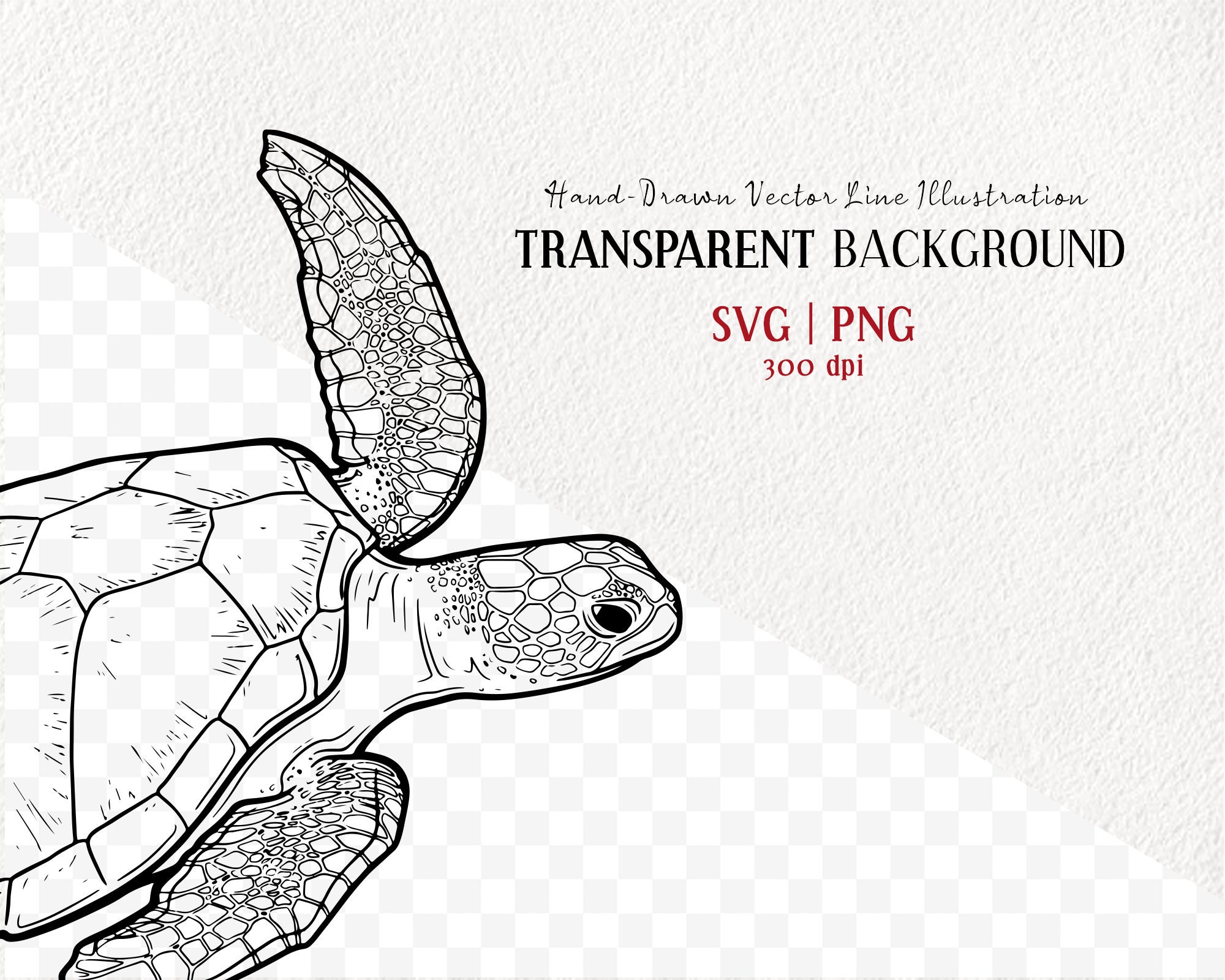 Green Sea Turtle Vector Clip Art. Sea Animal Artwork. - Etsy