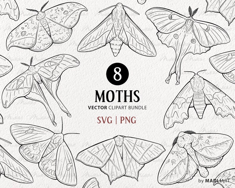 Moth Vector Clip Art Bundle. 8 Celestial Butterfly Stamps. - Etsy