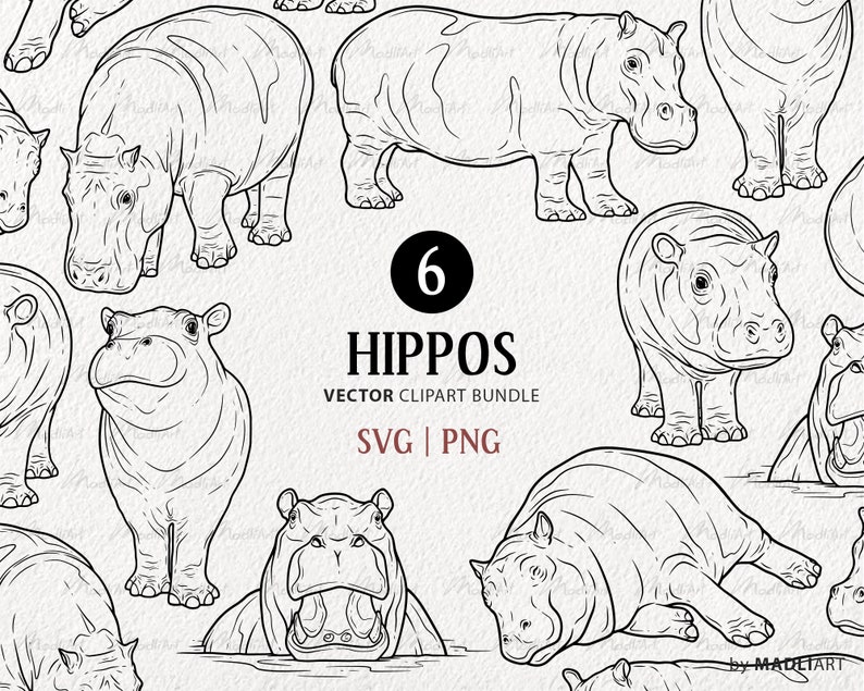 6 Hippos SVG Clipart Bundle. Hippopotamus Vector Drawings. Baby Hippo ...