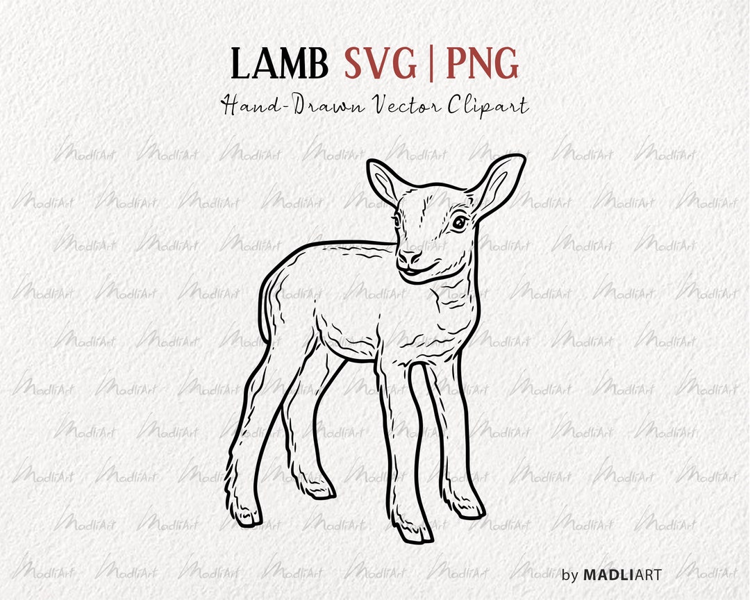 Lamb SVG Clipart Bundle. Baby Sheep Vector Line Art. Farm Animal ...