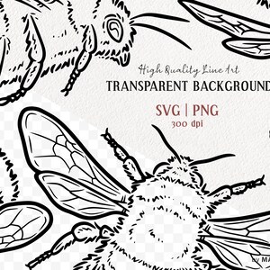 Bee SVG Clipart Bundle. Bumblebee Svg Outline Stamps. Honey Bee Vector ...