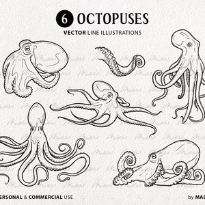 Octopus Clipart Bundle. Marine Animals Vector Line Art. 6 Octopuses ...