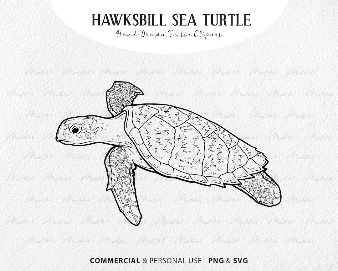 Hawksbill Sea Turtle SVG Clip Art. Sea Turtle Vector Line Art. Sea ...