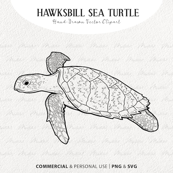 Hawksbill Turtle Art - Etsy