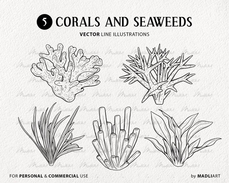 Coral & Seaweed Vector Clipart Bundle. Ocean Plants Artwork Set. Coral ...