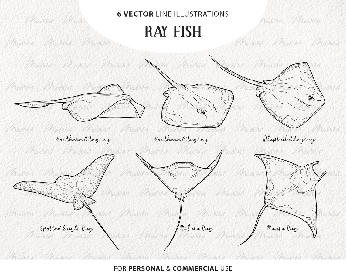 Ray Fish Clipart Bundle. Sea Creature Vector Line Art. Ocean - Etsy